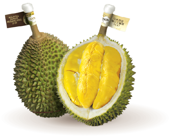 Top Fruits - Leading Durian Supplier in Malaysia