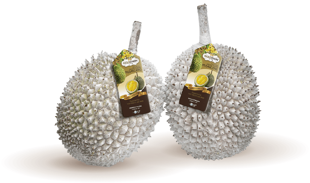 Top Fruits - Leading Durian Supplier in Malaysia