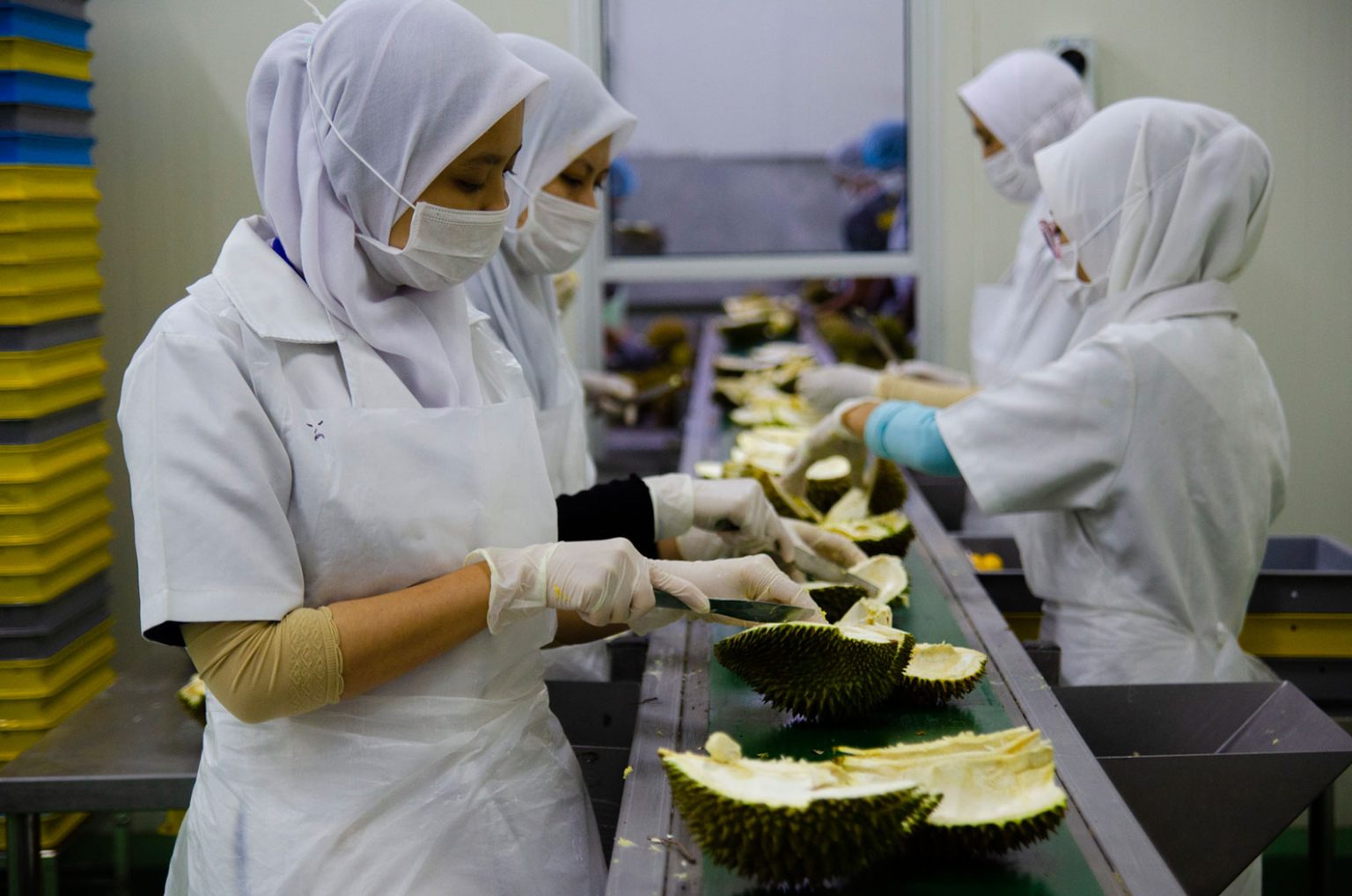 Top Fruits | Leading Durian Manufacturer in Malaysia