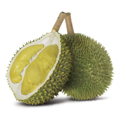 10 Finest Types of Durian to Try in Malaysia - Top Fruits