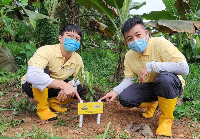 Musang King Channel X Gold Thon Collaboration - Top Fruits