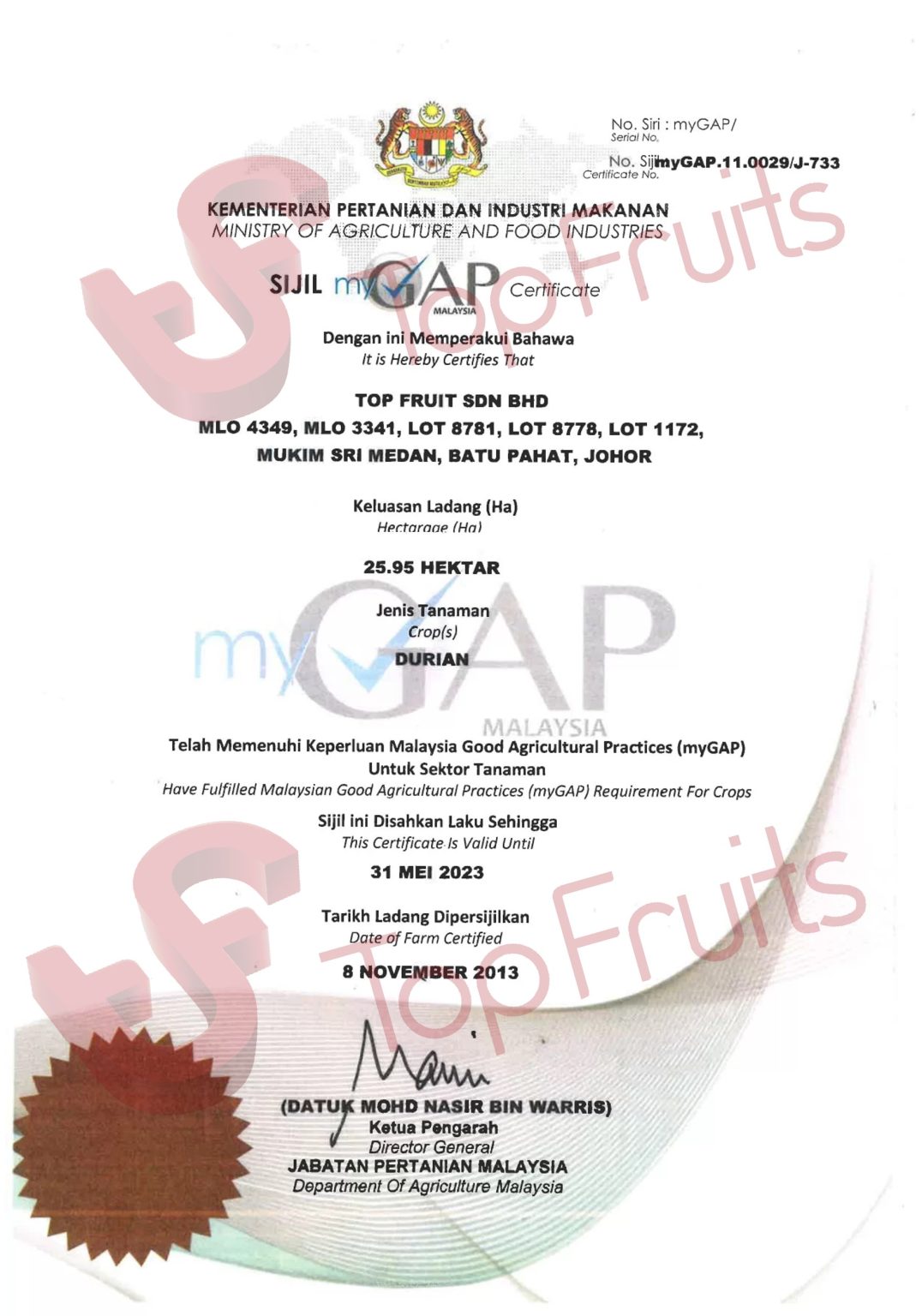 Top Fruits - Musang King Durian Exporter and Wholesaler