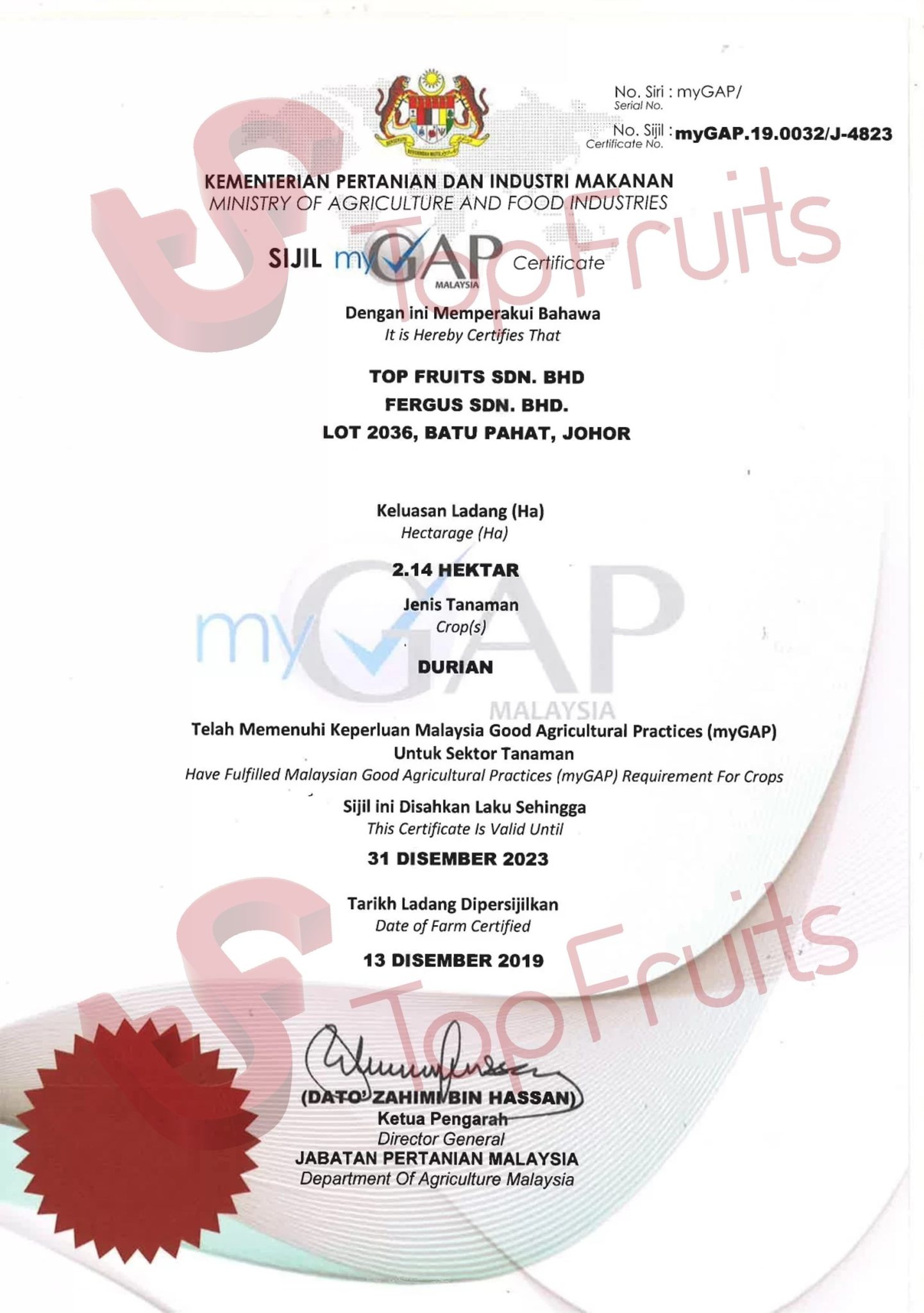 Top Fruits - Musang King Durian Exporter and Wholesaler