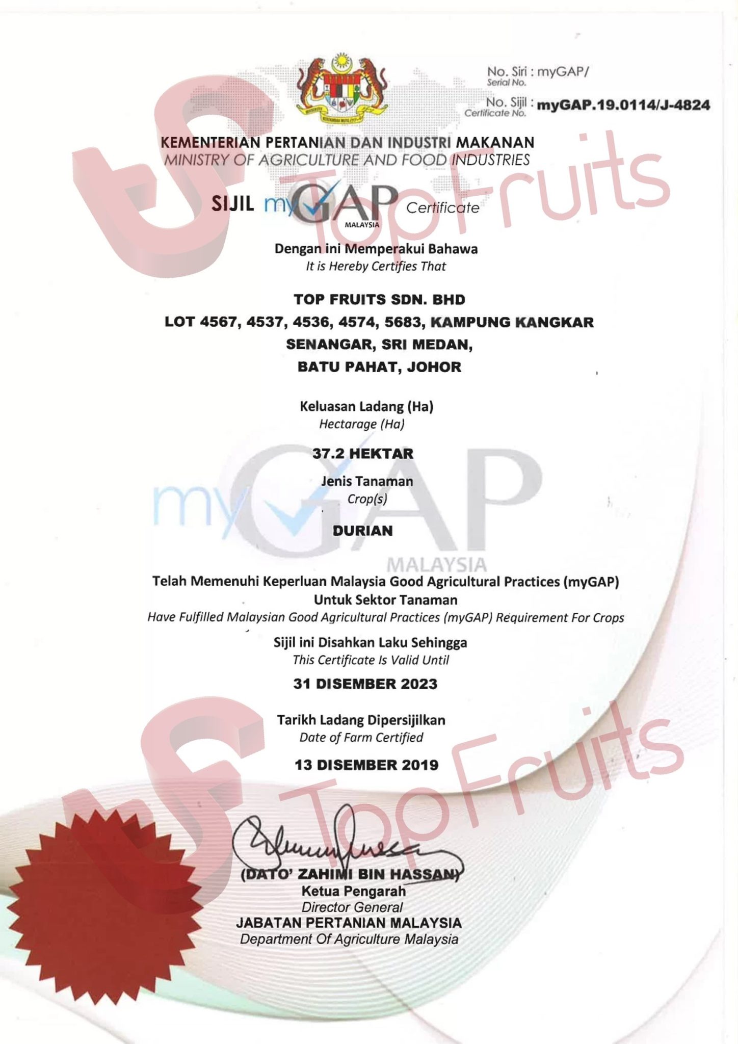 Top Fruits - Musang King Durian Exporter and Wholesaler