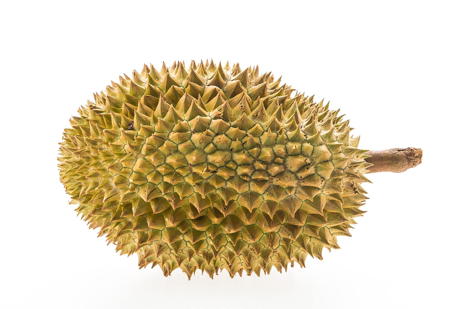 Durian Harvesting: A Comprehensive Guide - Top Fruits