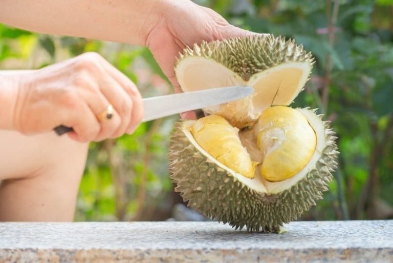 How to Choose A Good Durian: A Complete Guide - Top Fruits
