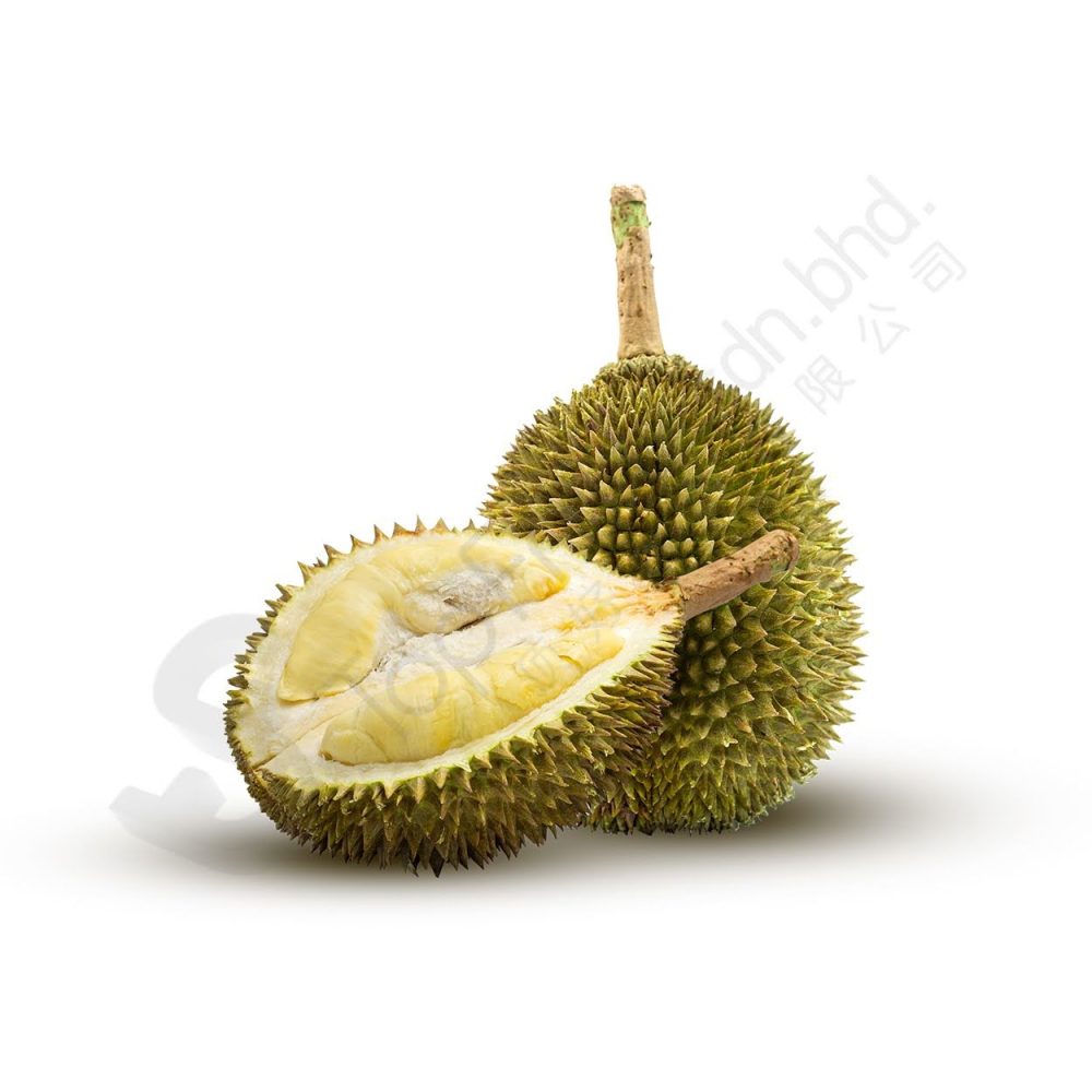 10 Finest Types of Durian to Try in Malaysia - Top Fruits