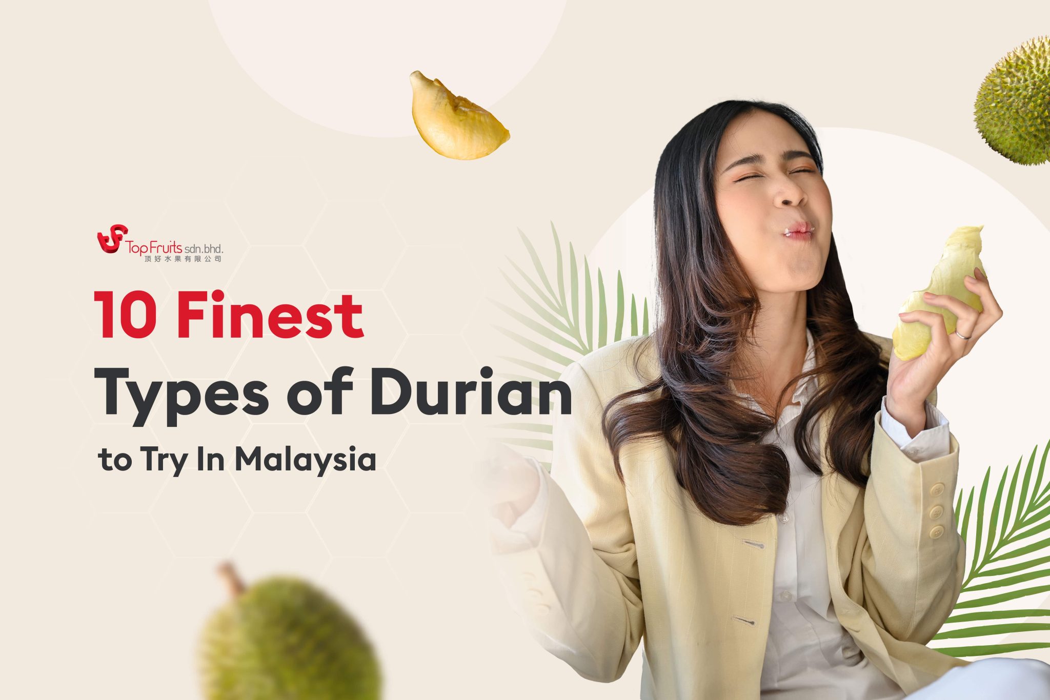 10 Finest Types of Durian to Try in Malaysia - Top Fruits