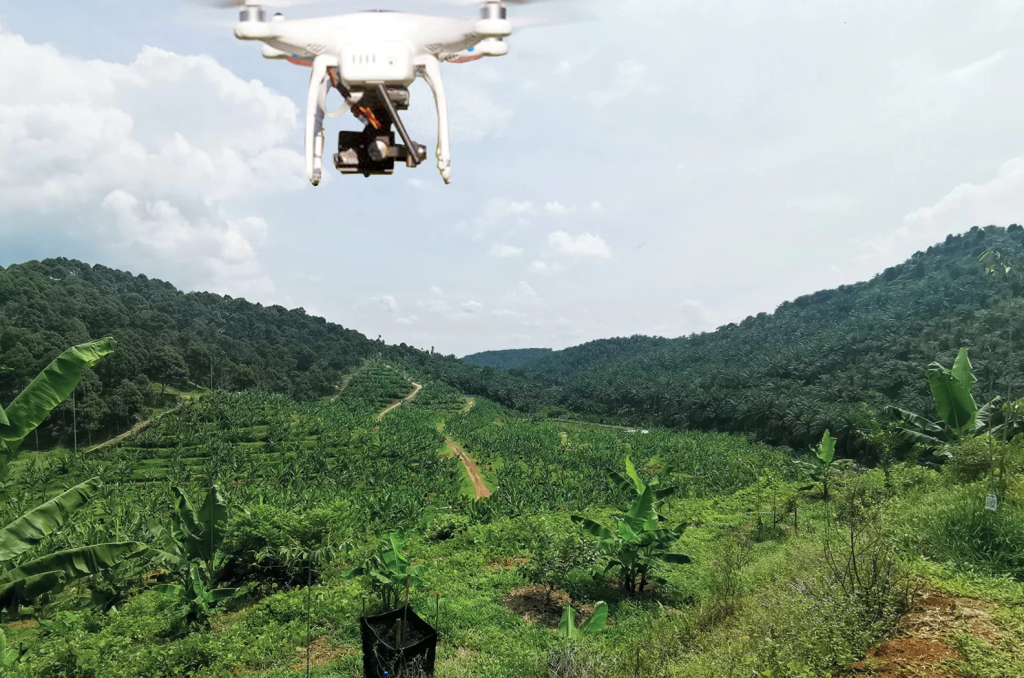 Smart Farming in Durian Plantation Industry: A Complete Guide - Top Fruits