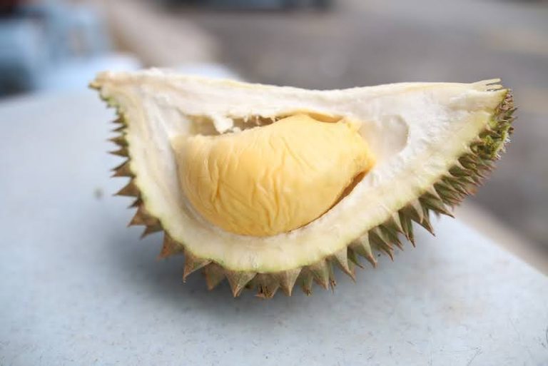 10 Finest Types of Durian to Try in Malaysia - Top Fruits