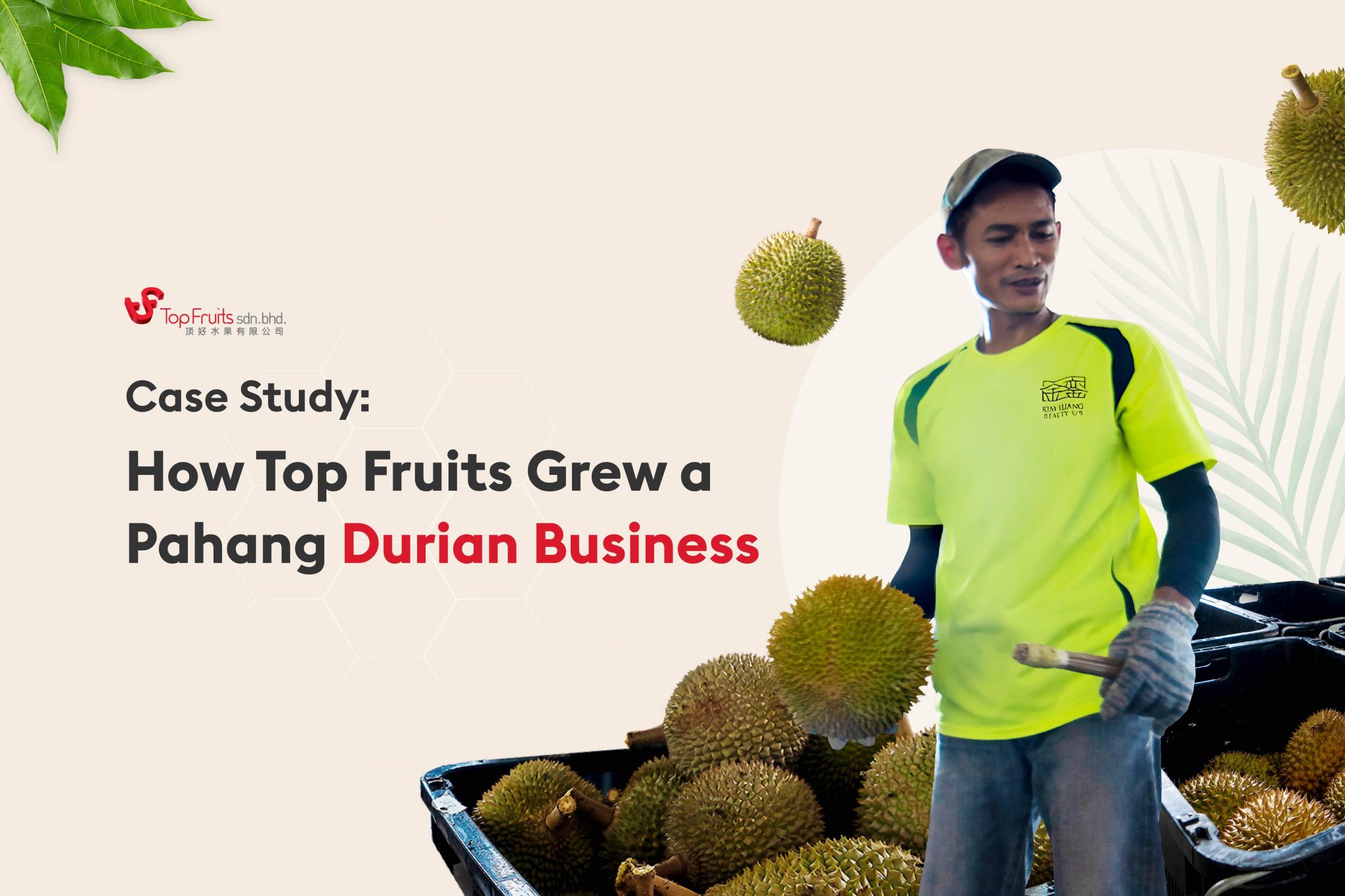 Case Study: How Top Fruits Grew a Pahang Durian Business - Top Fruits