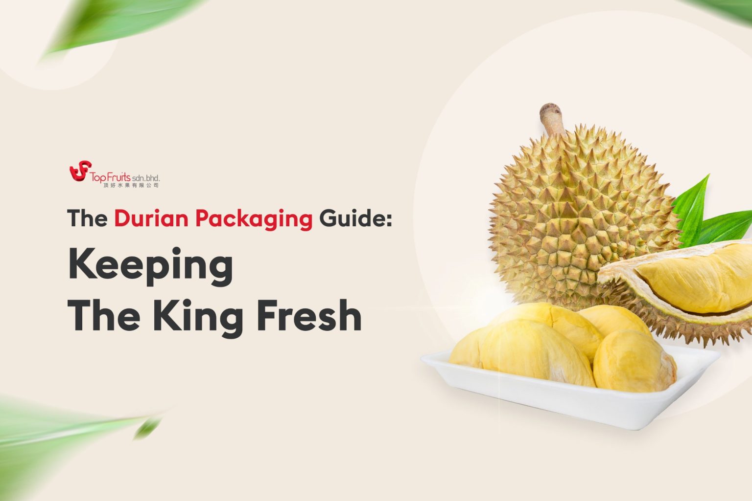The Durian Packaging Guide: Keeping The King Fresh - Top Fruits